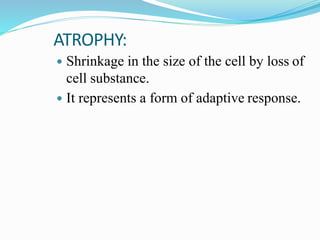 Adaptation of cellular growth and differentiation | PPT