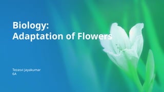 The Adaptation of Flowers - Biology Powerpoint Presentation | PPTX