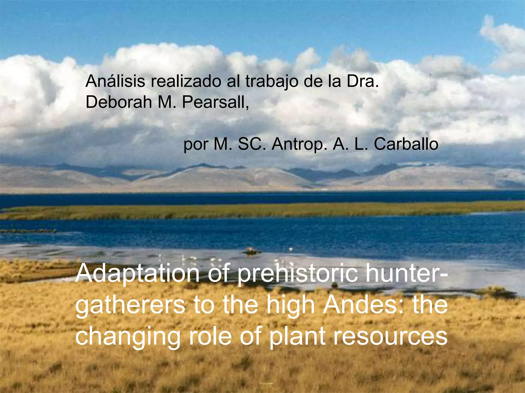 Adaptation of prehistoric hunter gatherers to the high andes.ppt