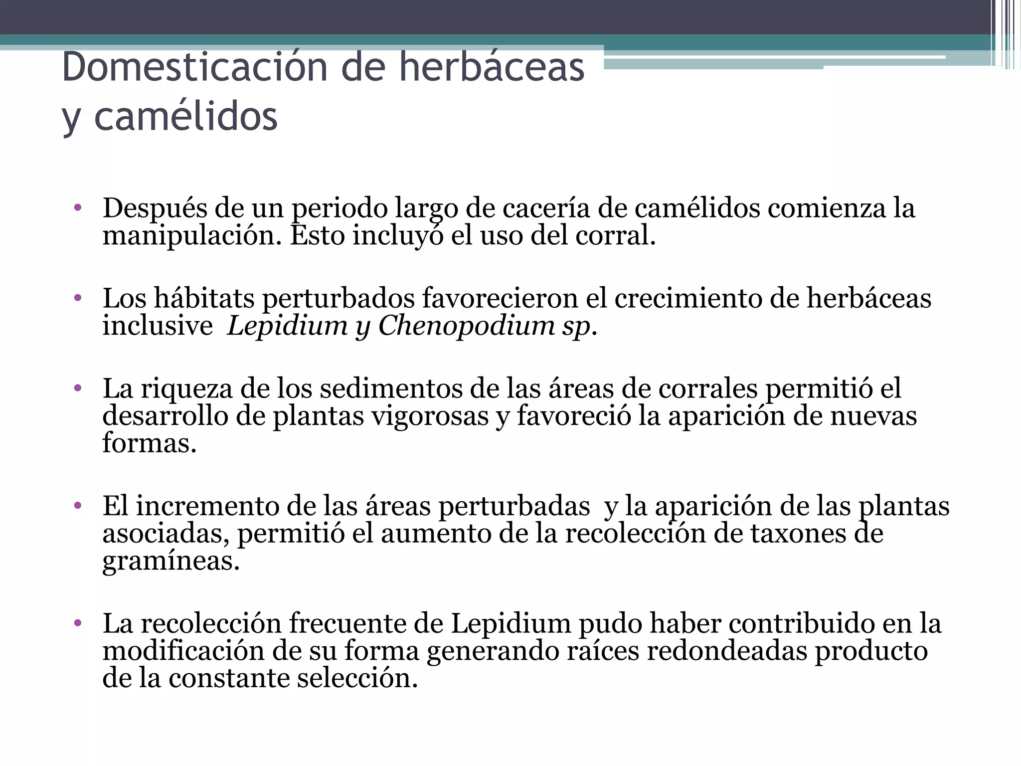 Adaptation of prehistoric hunter gatherers to the high andes.ppt