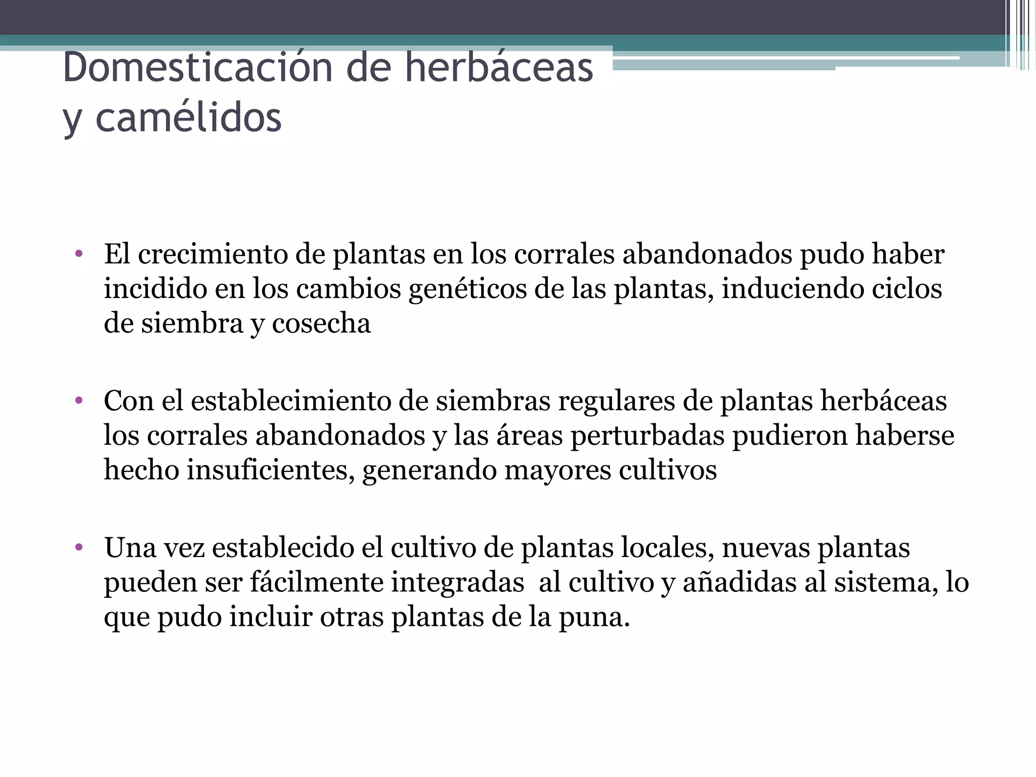 Adaptation of prehistoric hunter gatherers to the high andes.ppt