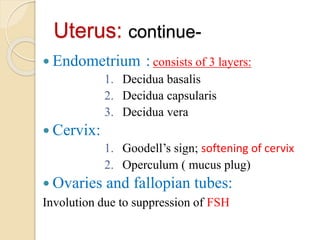 Adaptation of the body | PPTX