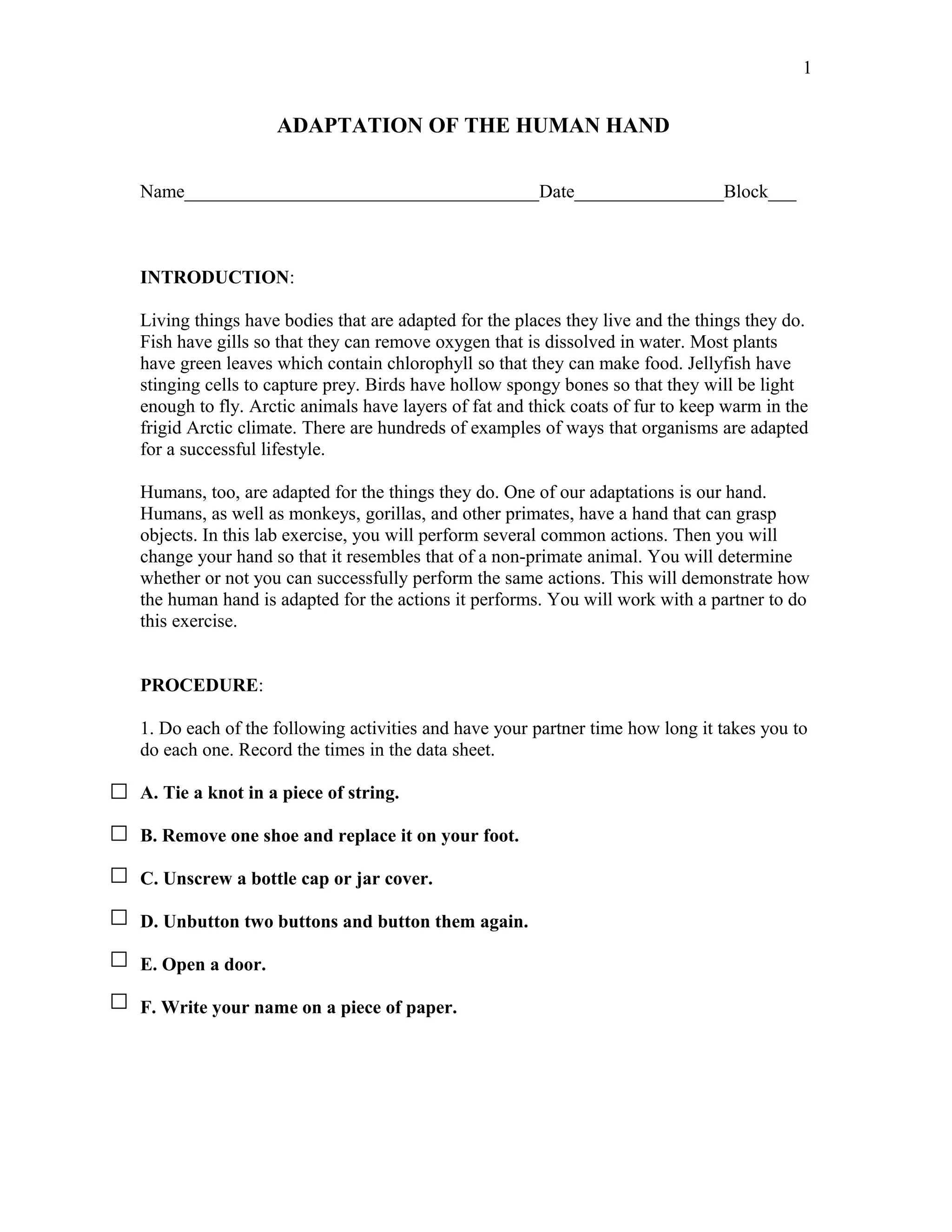 Adaptation of the Human Hand | DOC