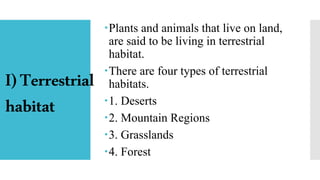 adaptation pakizah ppt.pptx