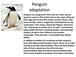 Adaptation project (6 7) | PPTX