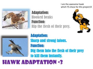 Adaptation project (6 7) | PPT