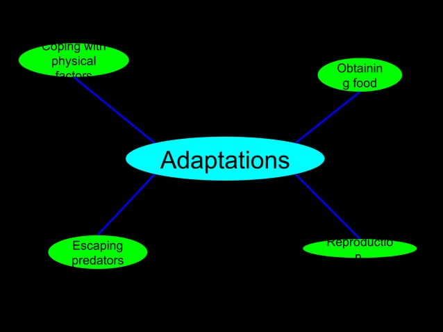 Adaptations | PPT