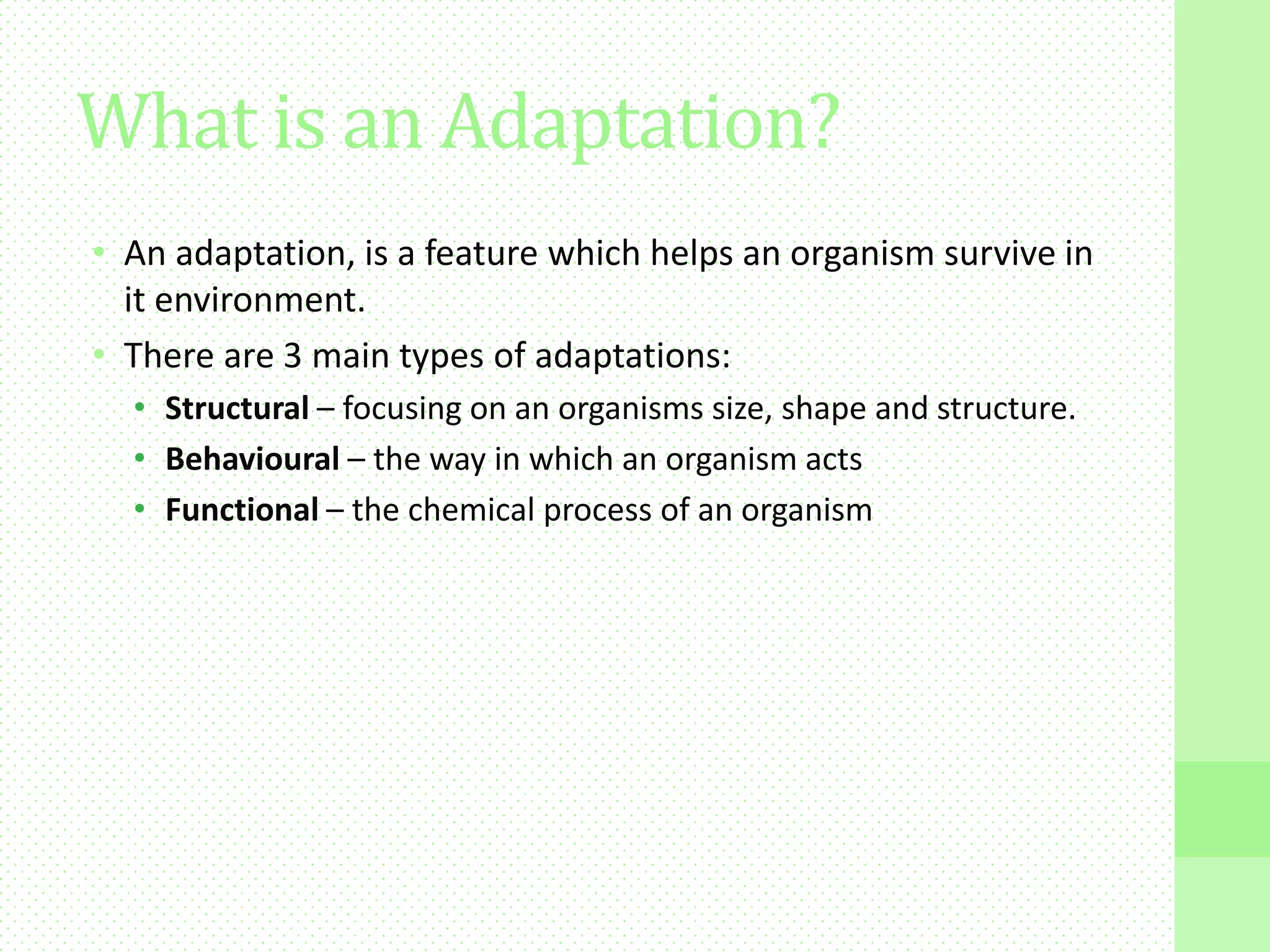 Adaptations | PPTX