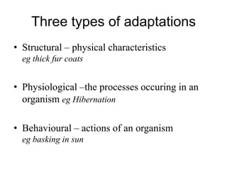 Adaptations | PPT