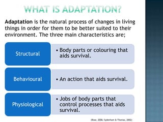 Adaptations | PPT