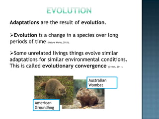 Adaptations | PPT