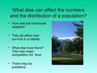 Adaptations | PPT | Geography | Science