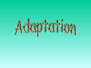 Adaptations | PPT