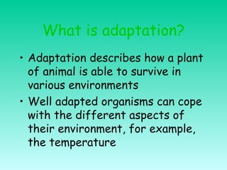 Adaptations | PPT
