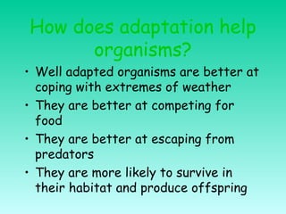 Adaptations | PPT