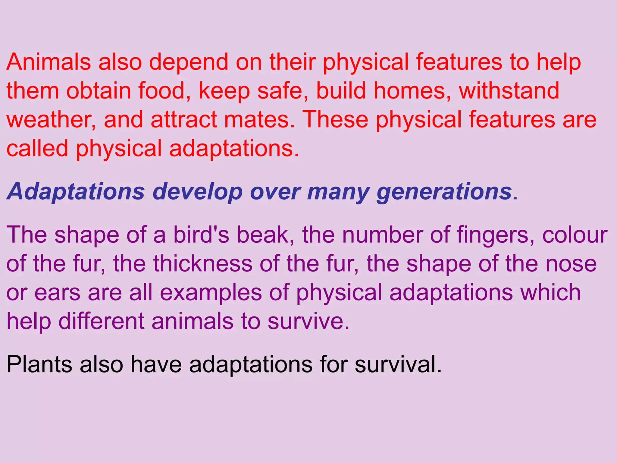 PowerPoint Presentation (Topic : Adaptations) | PPT