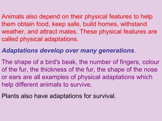 PowerPoint Presentation Topic :Adaptations | PPT