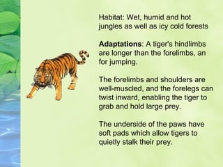 Adaptations | PPT