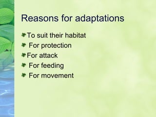 Adaptations | PPT