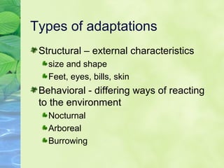 Adaptations | PPT