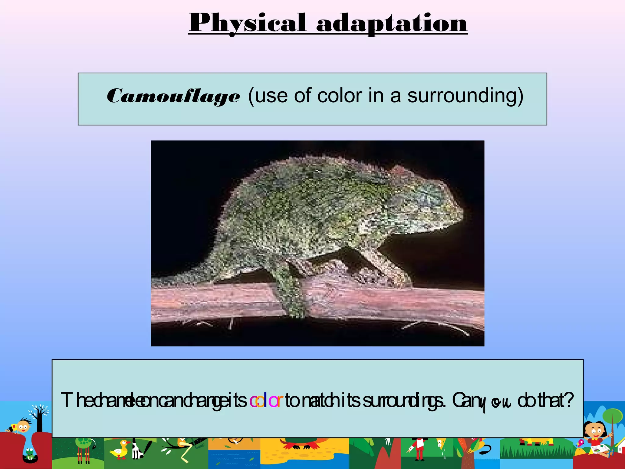 Adaptations | PPT