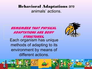 Adaptation Definition For Kids