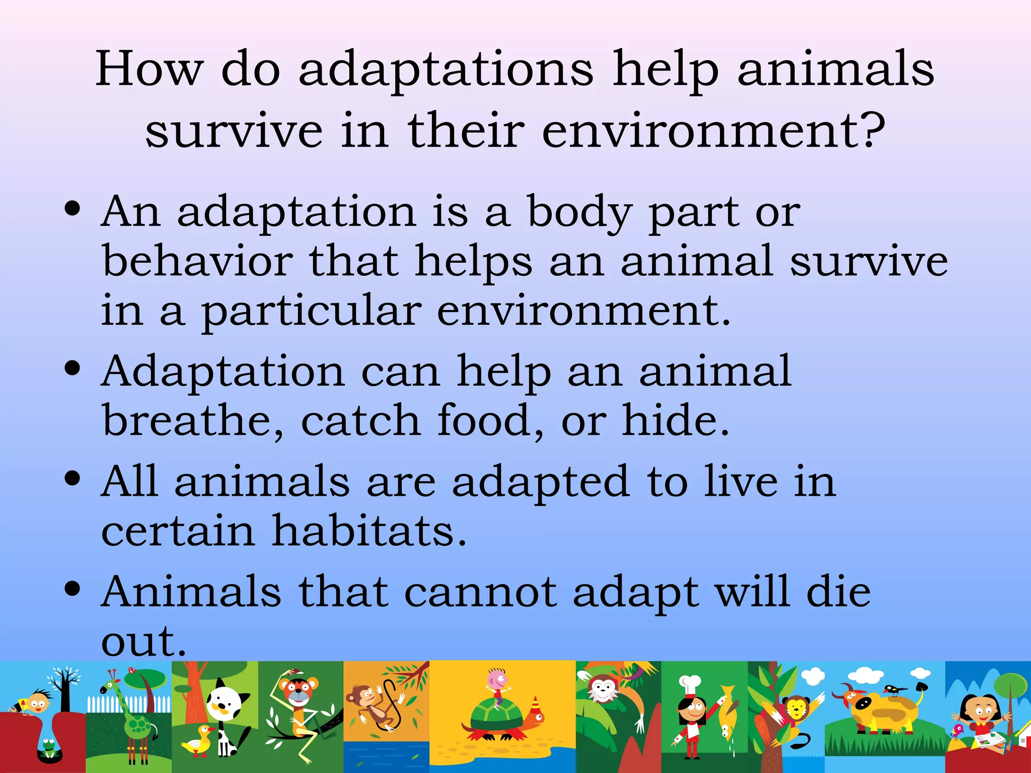 Adaptations | PPT