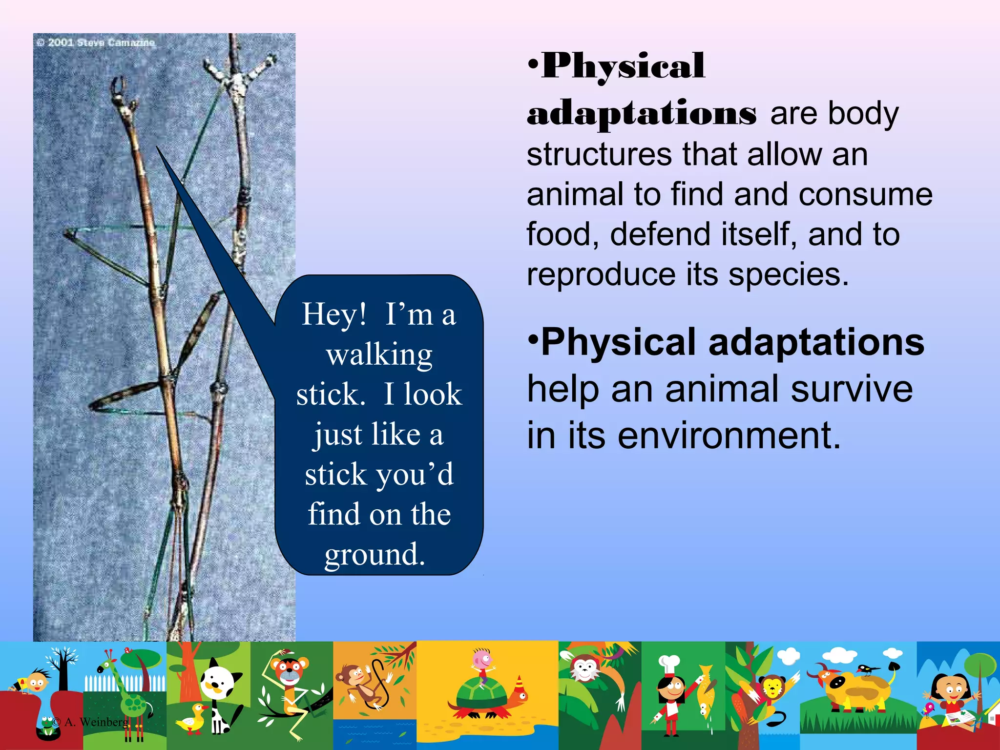 Adaptations | PPT