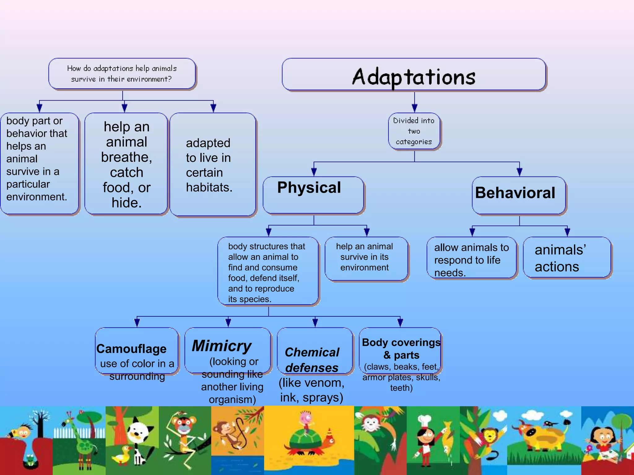 Adaptations | PPT