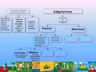Adaptations | PPT