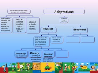 Adaptations | PPT