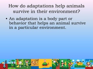 Adaptations | PPT