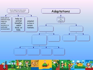 Adaptations | PPT