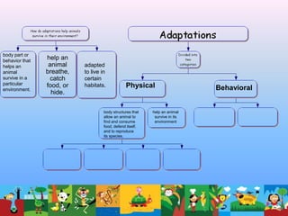 Adaptations | PPT