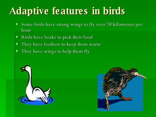 Adaptations In Animals Faulkner | PPT
