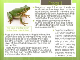 Adaptations powerpoint-science | PPT