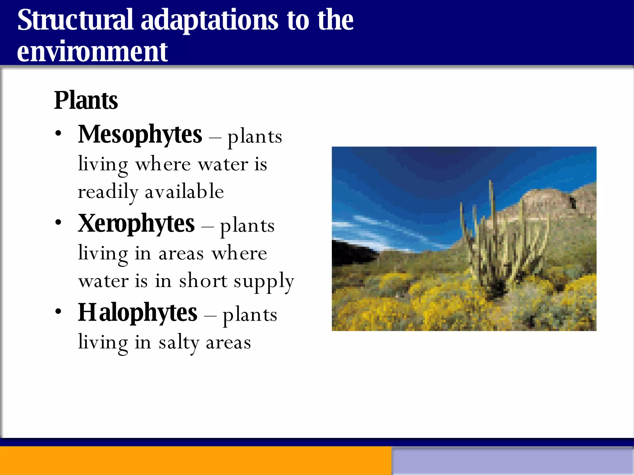 Adaptations To Environment | PPT