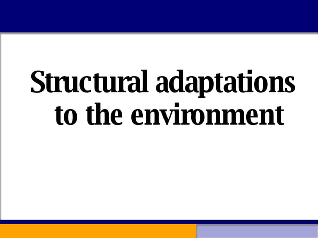Adaptations To Environment | PPT