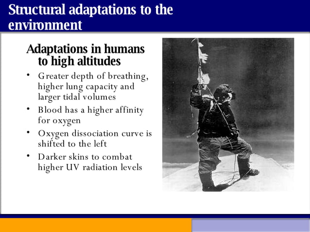 Adaptations To Environment | PPT