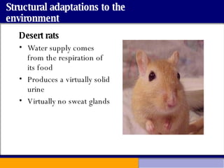 Adaptations To Environment | PPT