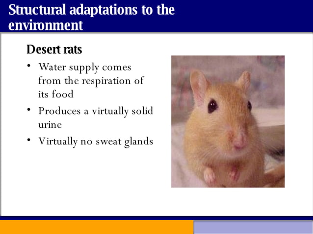 Adaptations To Environment | PPT