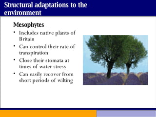 Adaptations To Environment | PPT