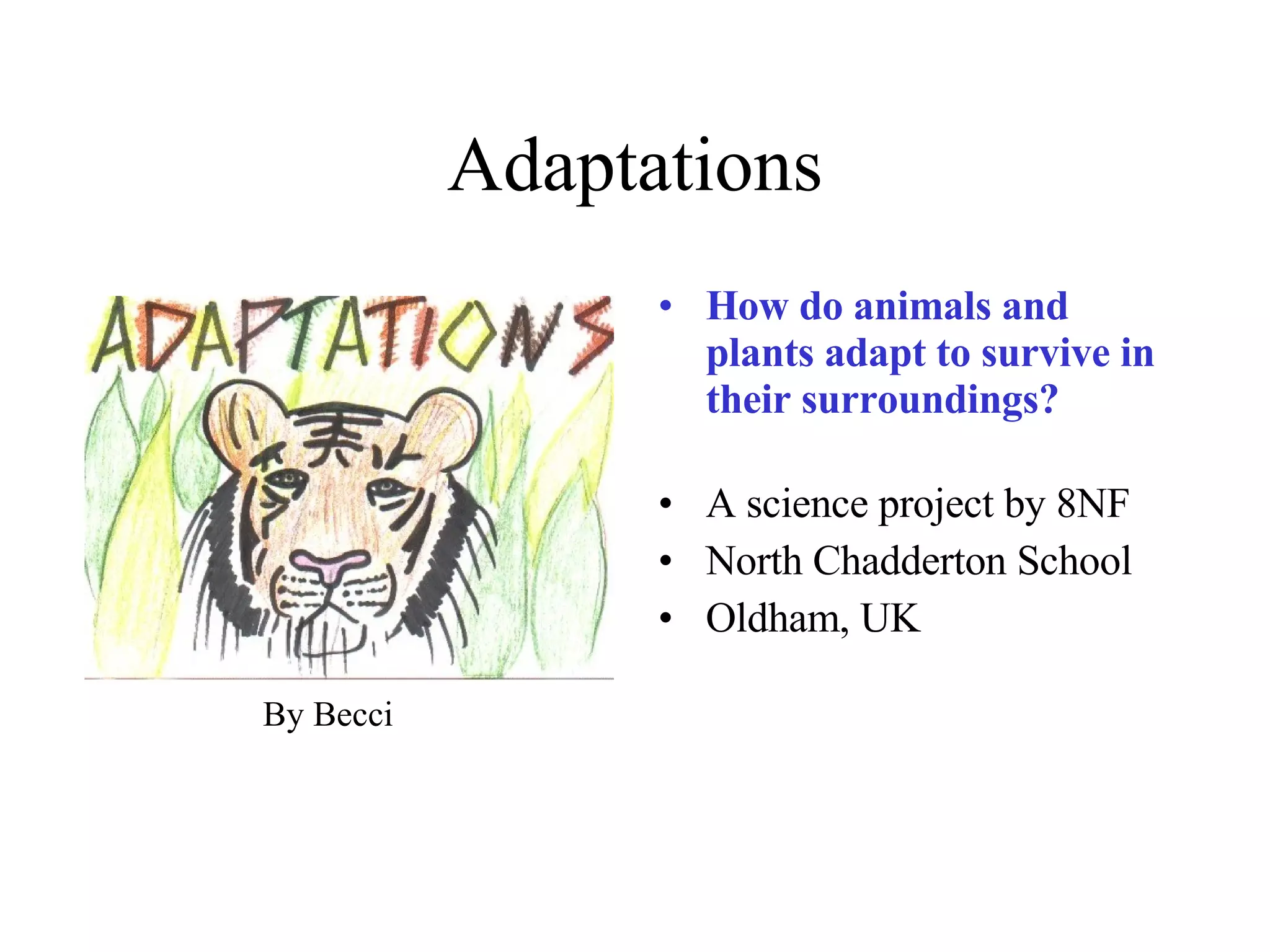 Adaptations1 | PPT