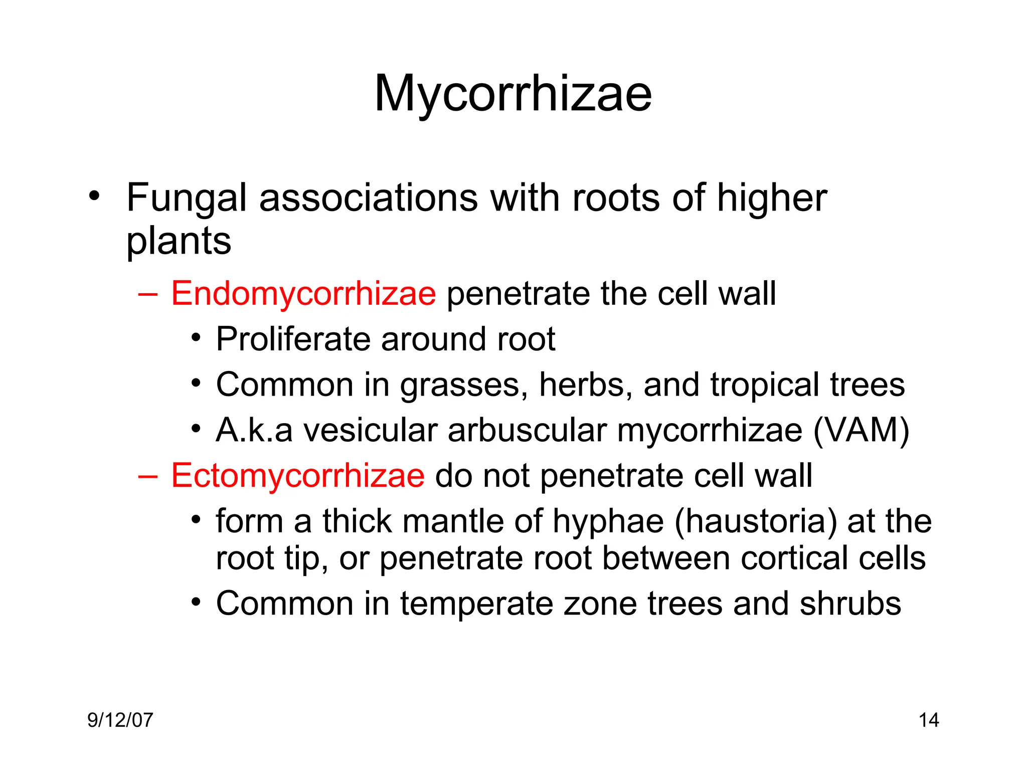 Plant Adaptations to the Environment (Part 2: Physiological and ...