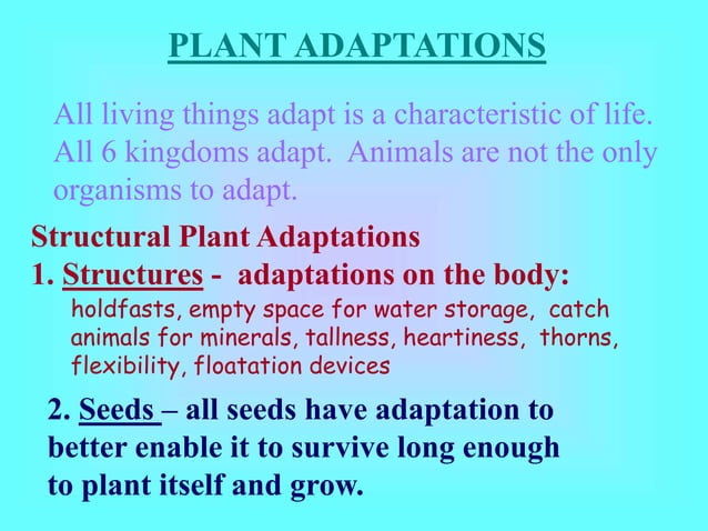 Animal and Plant Adaptations | PPT | Gardening | Home & Garden