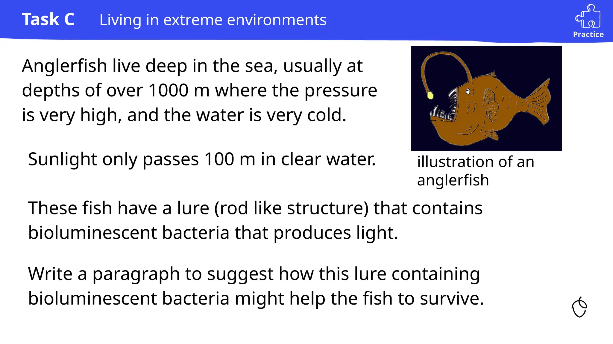 adaptations biology aqa gcse complete oak.pptx