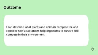 adaptations biology aqa gcse complete oak.pptx