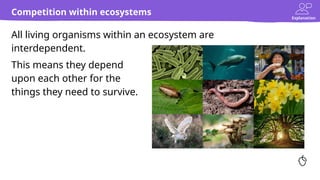 adaptations biology aqa gcse complete oak.pptx