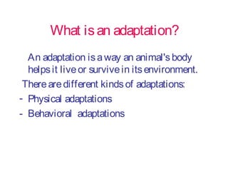 Adaptations | PPT
