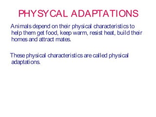 Adaptations | PPT